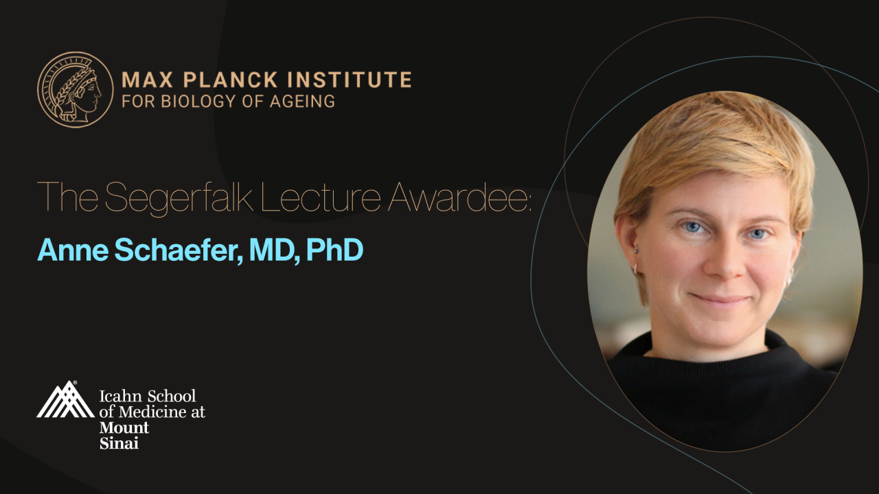 Schaefer Lab | Neuroscience Labs - Icahn School of Medicine