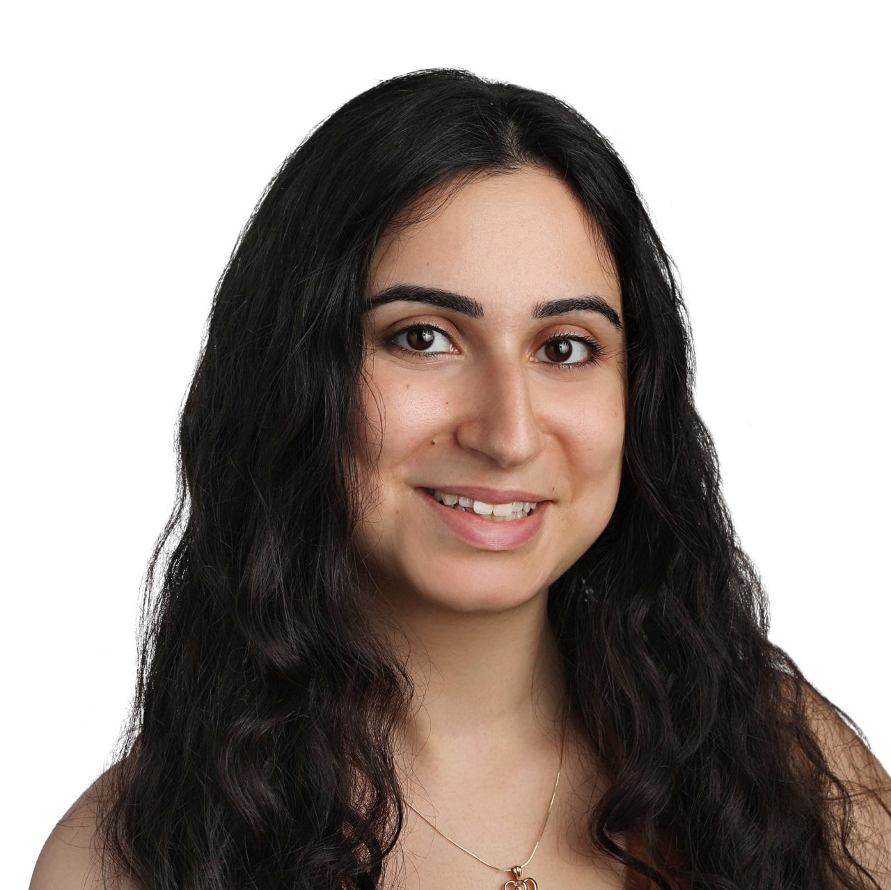 Shuman Lab | Neuroscience Labs - Icahn School of Medicine