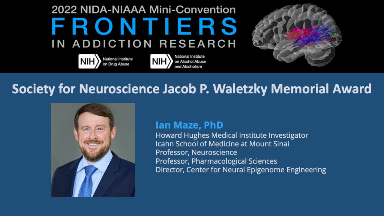 Maze Lab | Neuroscience Labs - Icahn School of Medicine