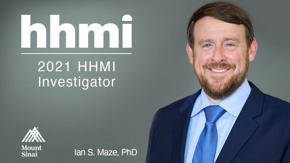 Maze Lab | Neuroscience Labs - Icahn School of Medicine