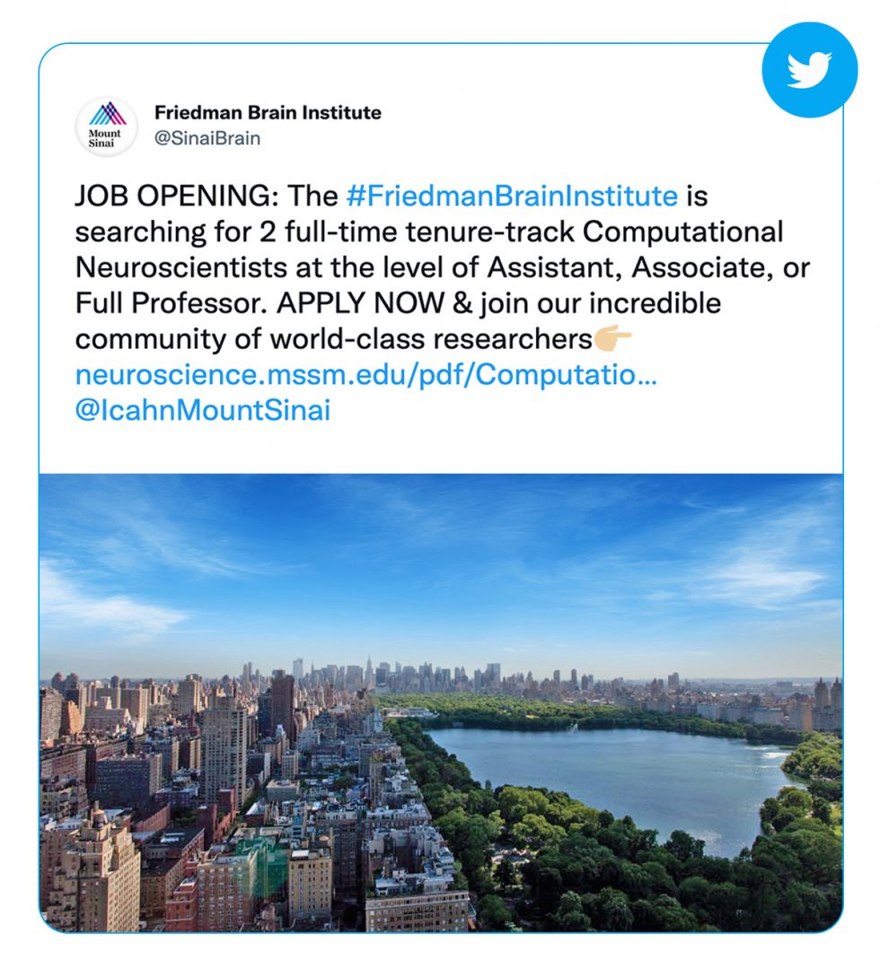 Careers | Neuroscience Labs - Icahn School of Medicine