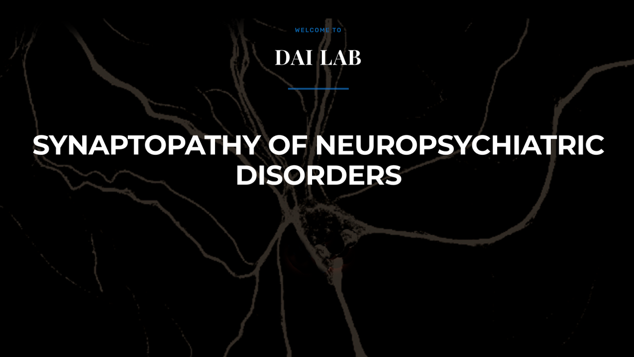 Dai Lab | Neuroscience Labs - Icahn School of Medicine