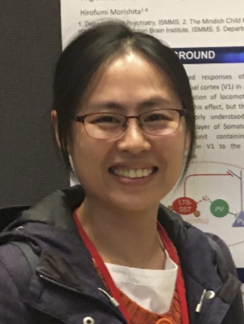Xiaoting Wu Lab | Neuroscience Labs - Icahn School of Medicine